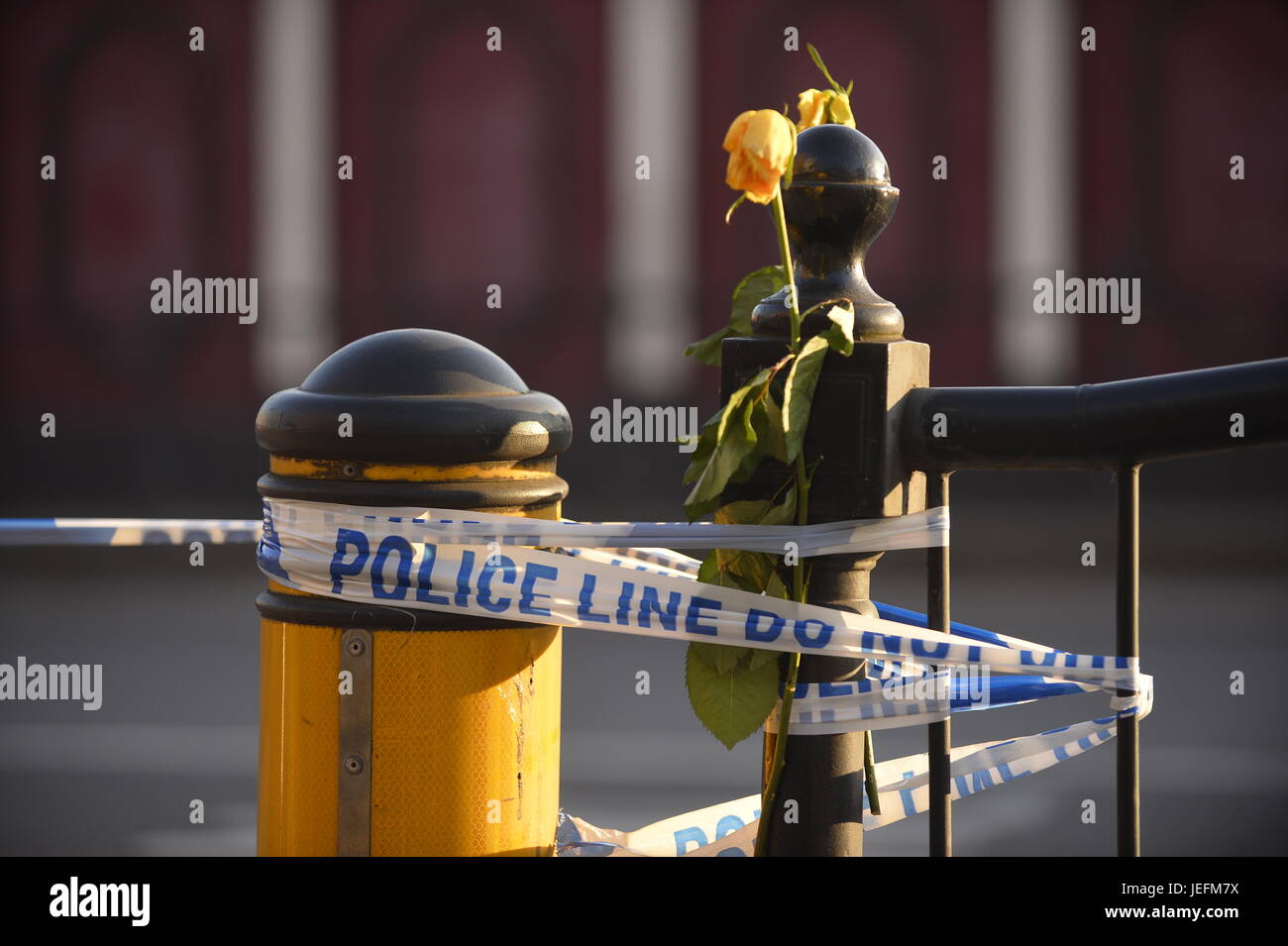 Cordon rose hi-res stock photography and images - Alamy