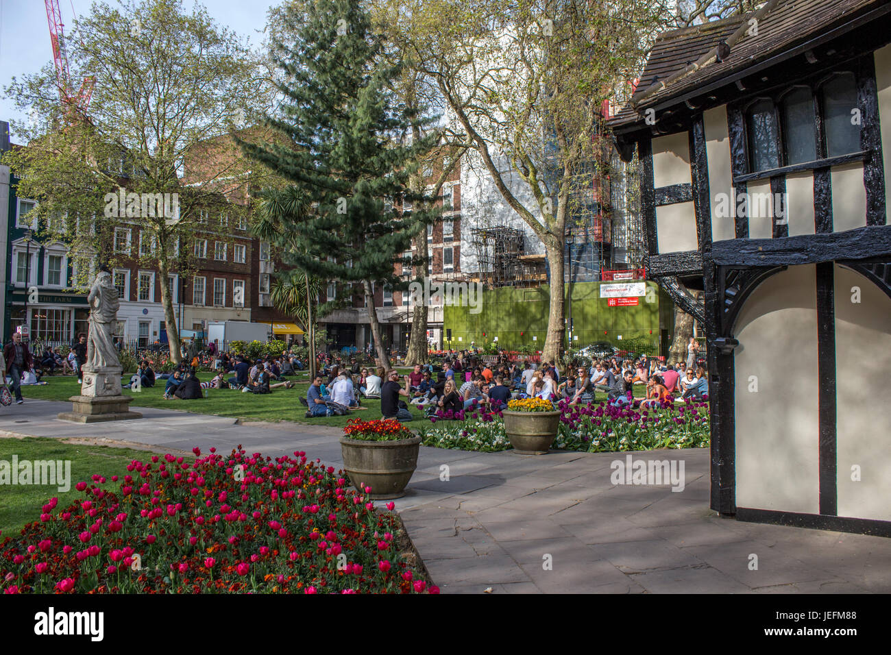 Unique environment hi-res stock photography and images - Alamy