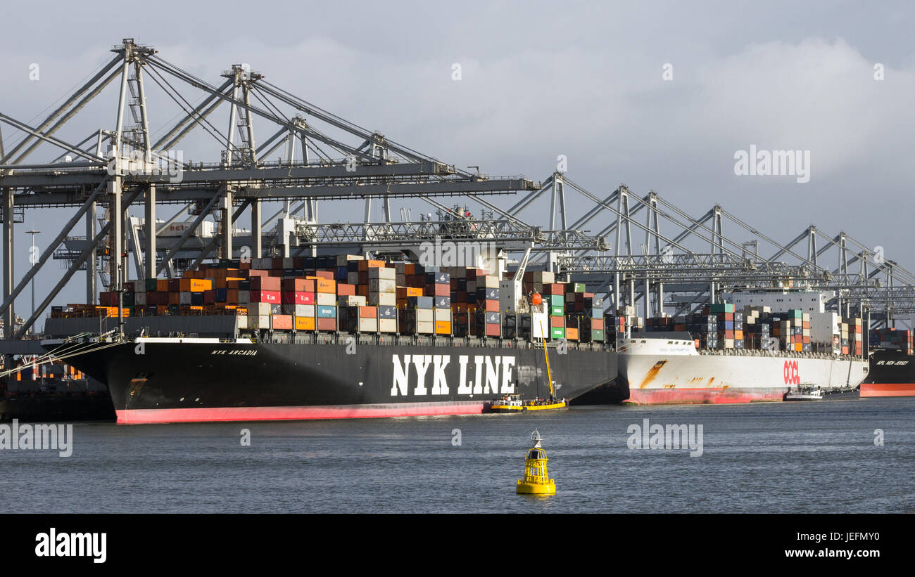 ROTTERDAM, NETHERLANDS - JAN 13, 2012: Container ships moored at the ...