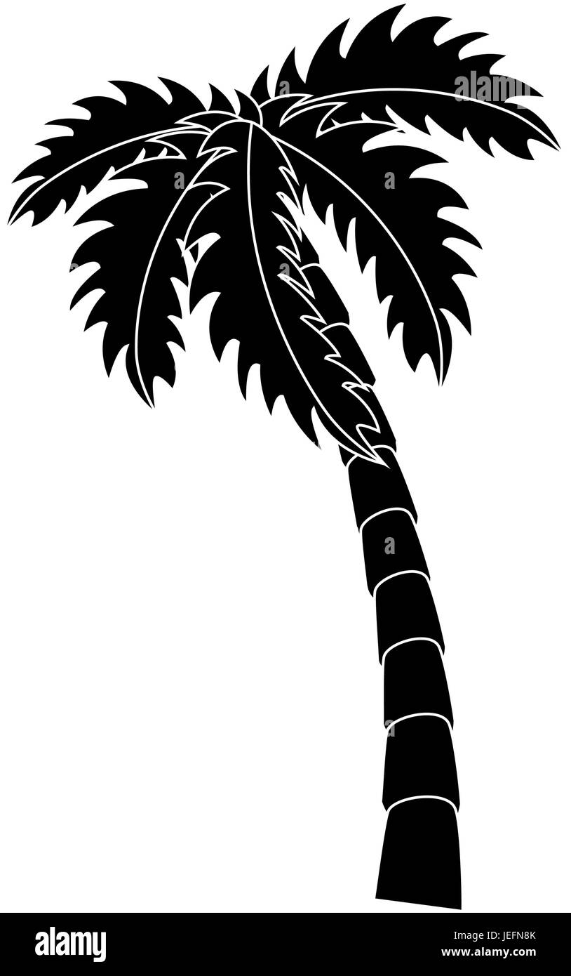 tropical palms design Stock Vector Image & Art - Alamy