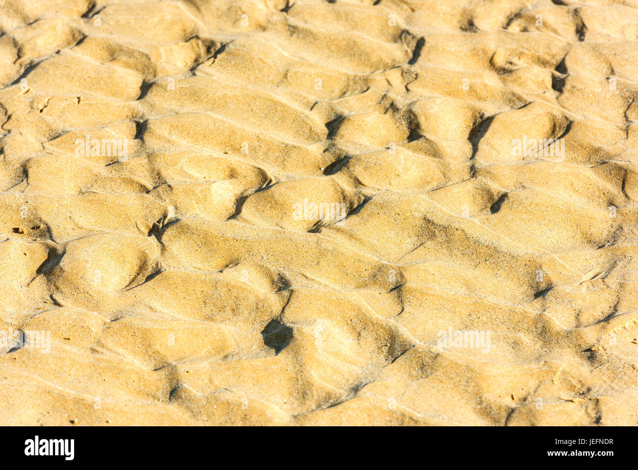 Top view of a sand sea bottom for background and texture Stock Photo ...