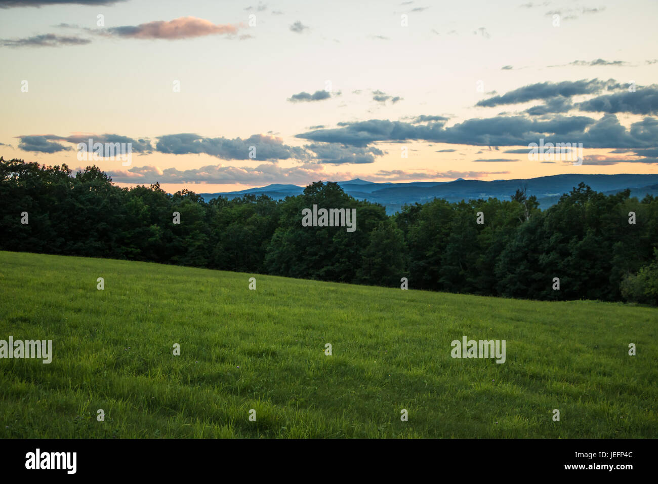 Vbeautiful hi-res stock photography and images - Alamy