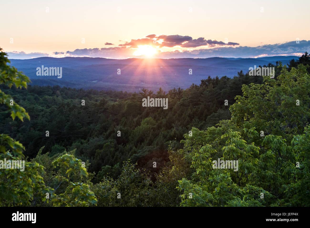 Pink sunset green nature hi-res stock photography and images - Alamy