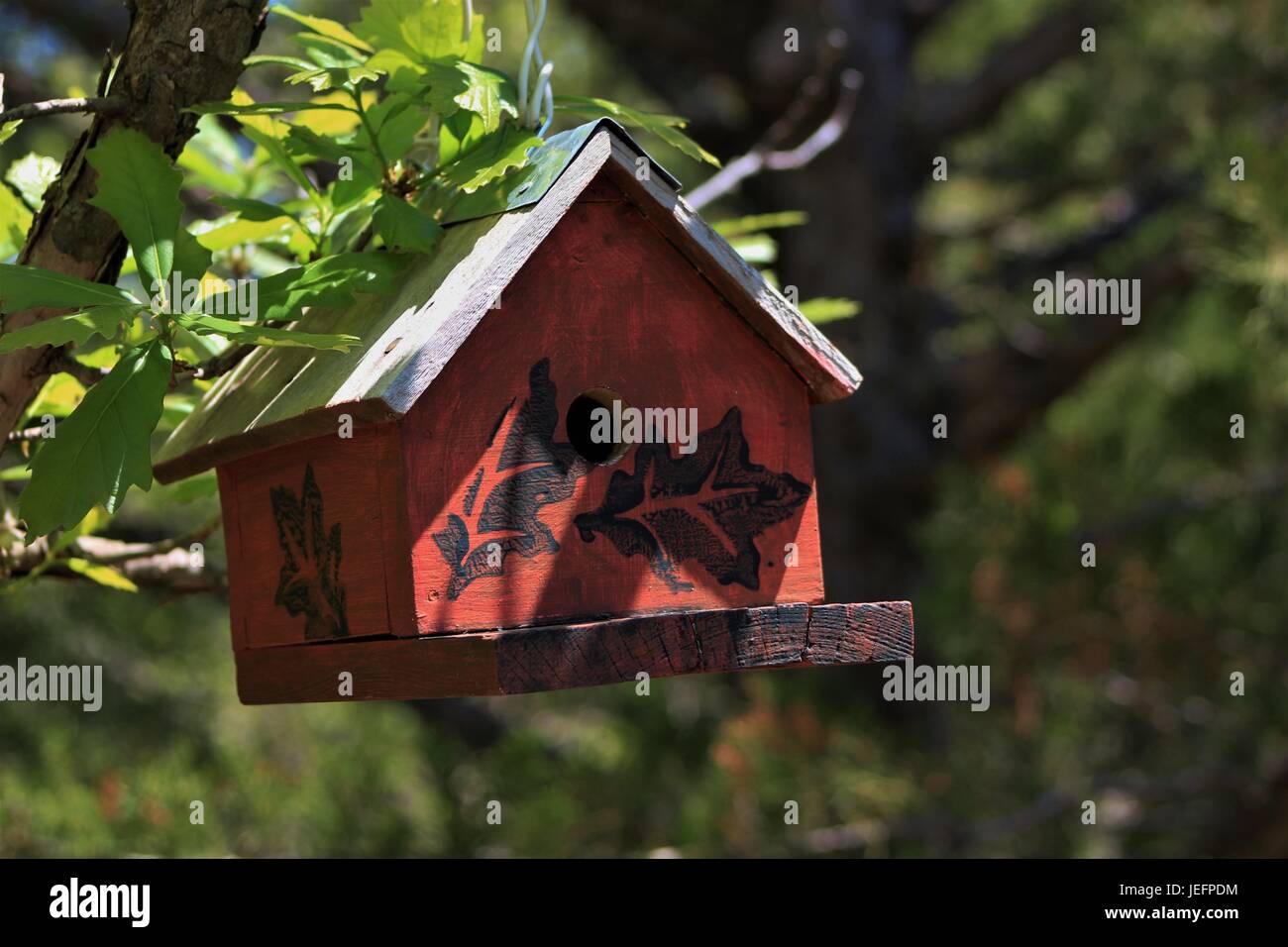 Bright and colorful Red Bird House shot closeup in Kansas Stock Photo ...