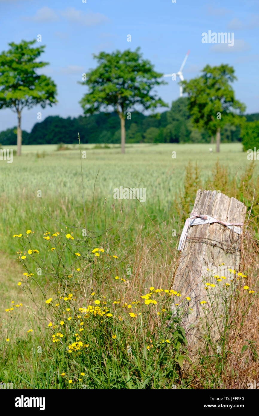 Summer in germany Stock Photo - Alamy