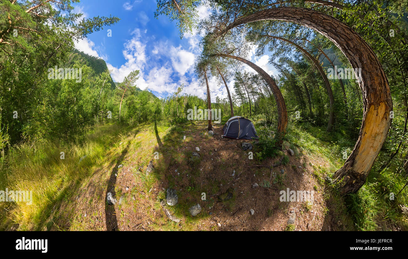 Wide panorama tent on camping in the woods Stock Photo - Alamy