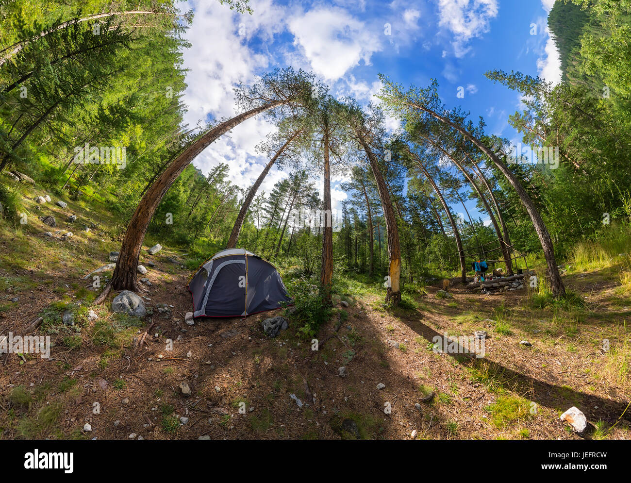 Wide panorama tent on camping in the woods Stock Photo - Alamy