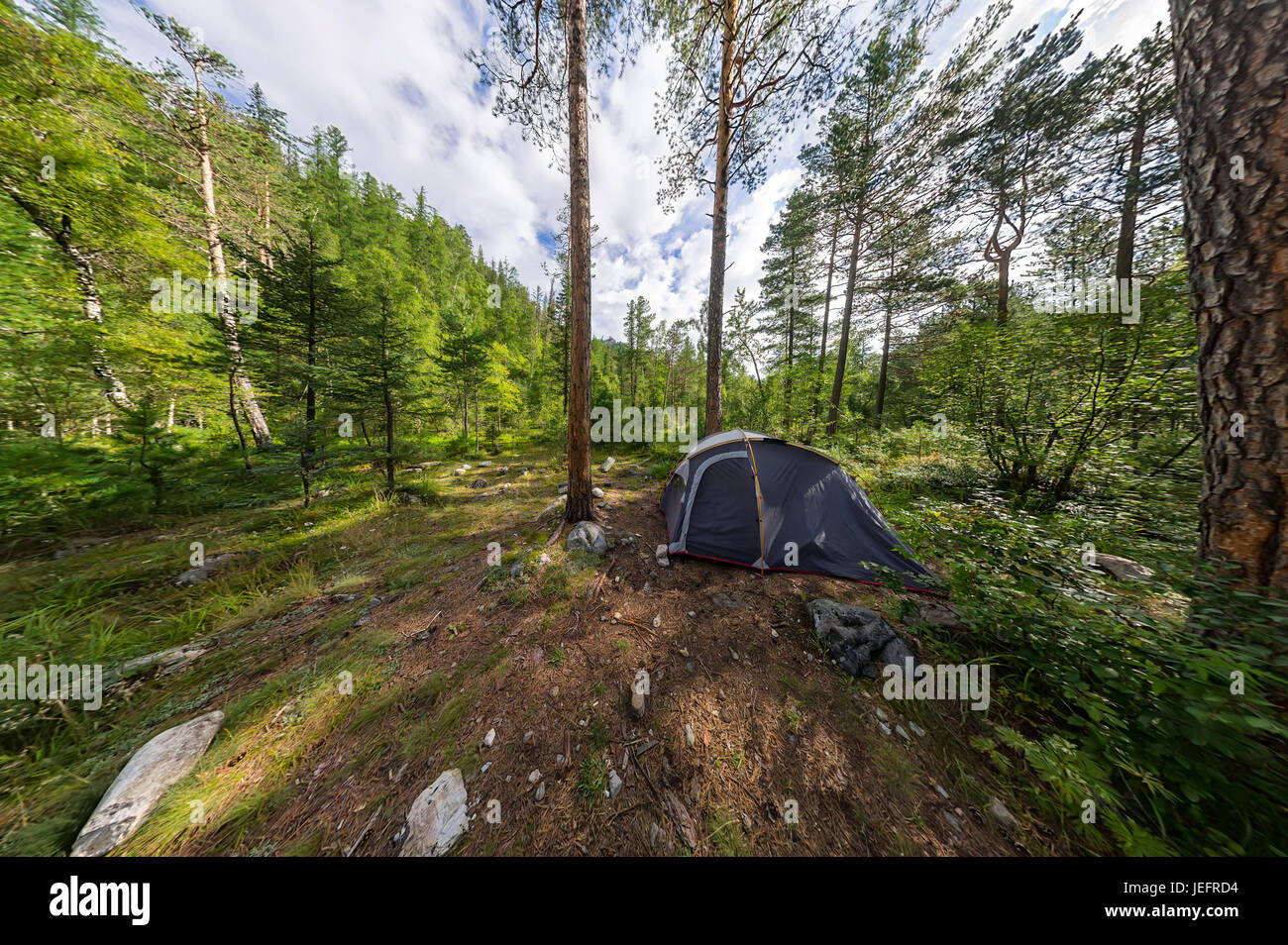 Wide panorama tent on camping in the woods Stock Photo - Alamy
