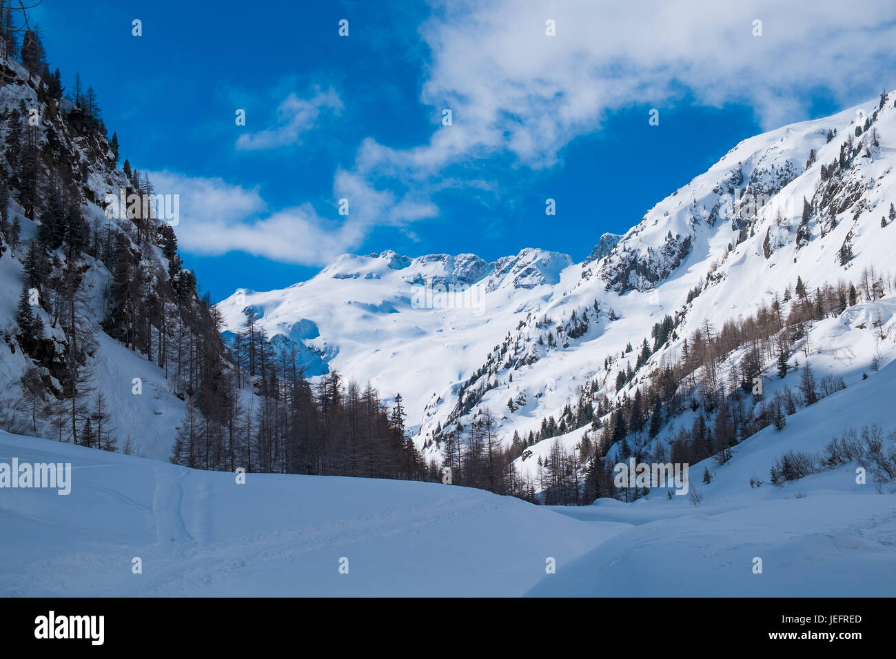 Winter landscape in Chamonix valley, France Stock Photo - Alamy