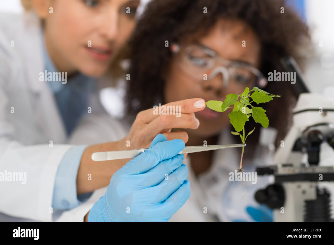 Female scientists examine plant hi-res stock photography and images - Alamy
