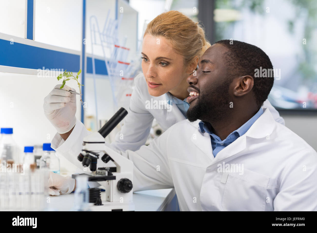 African american female lab microscope High Resolution Stock ...