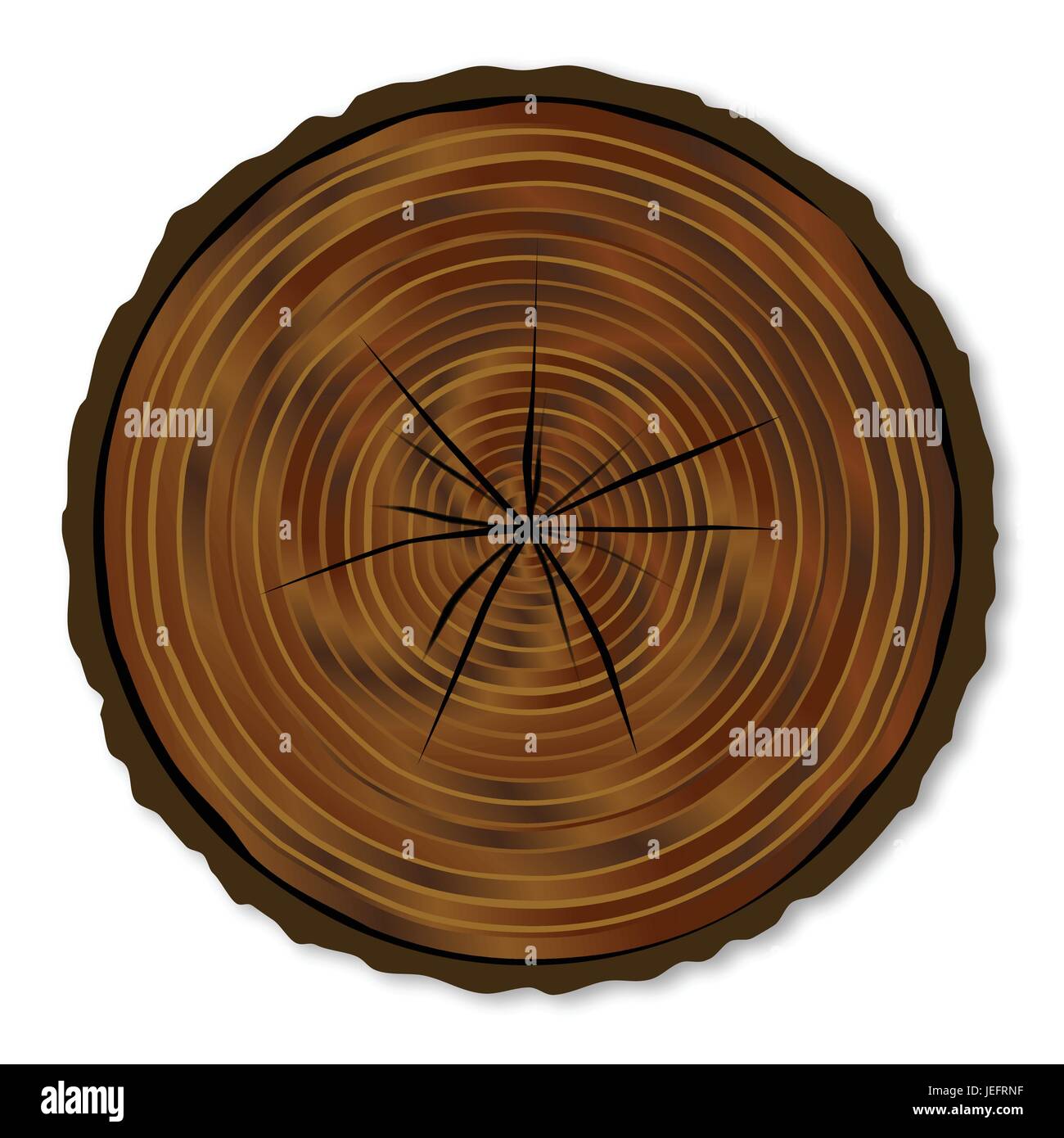 A dark wood timber end section over a white background Stock Vector ...