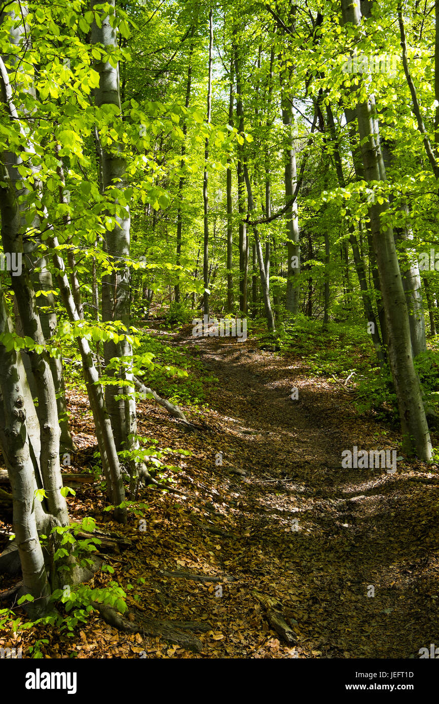 Chamonix in spring hi-res stock photography and images - Alamy