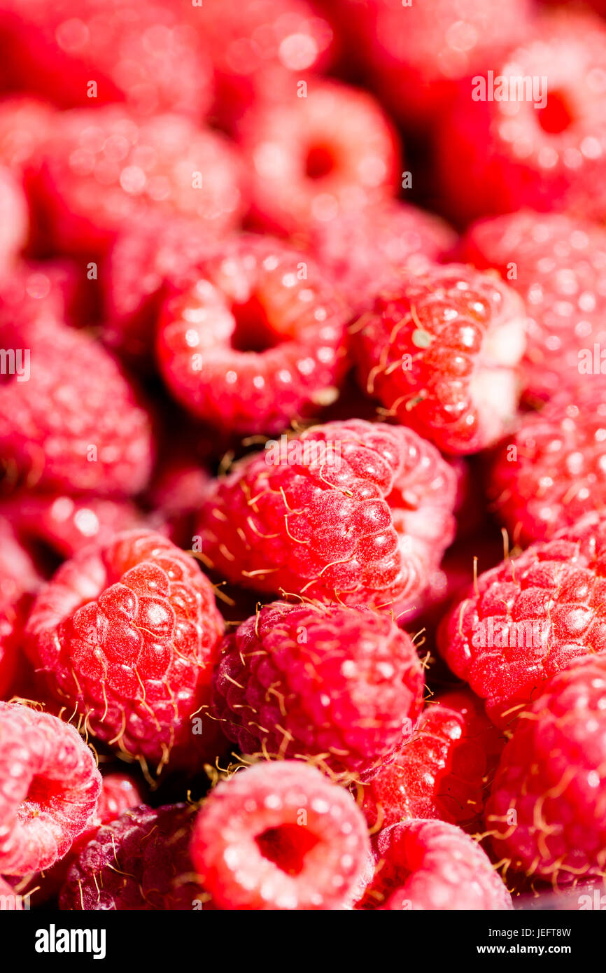 Full frame raspberries macro pink red detailed background. Vertical ...