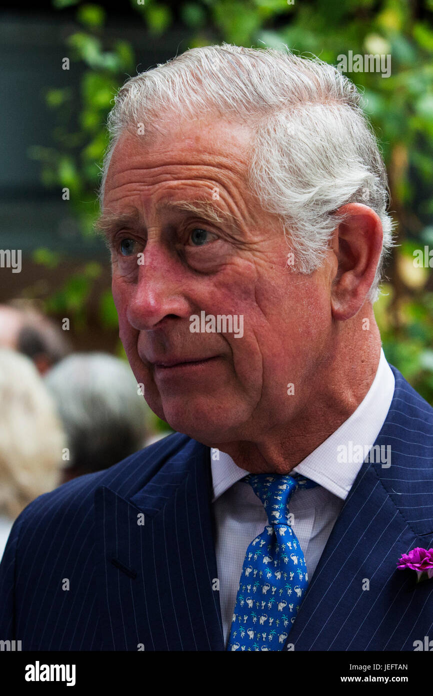 Prince Charles, The Prince of Wales, Portrait Stock Photo - Alamy
