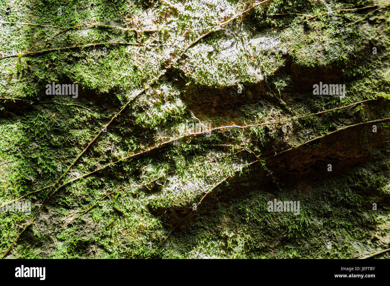 Body swaying hi-res stock photography and images - Alamy