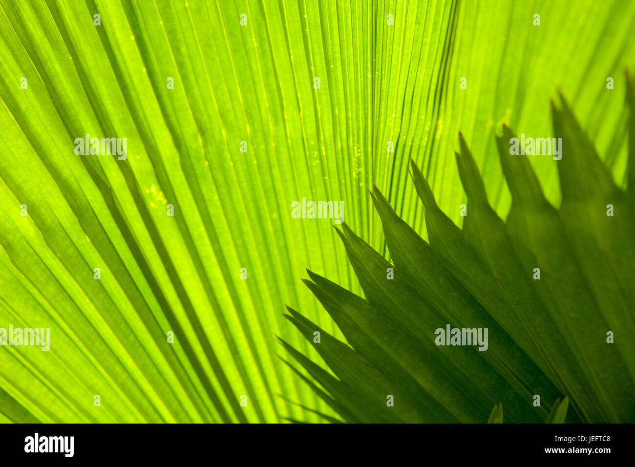 Diagonal lines of rain hi-res stock photography and images - Alamy