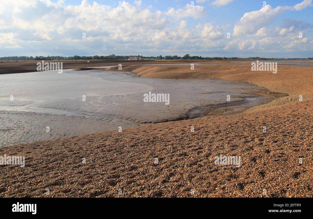 Shingle beach mud sediment in temporary lagoon, Shingle Street, Suffolk ...