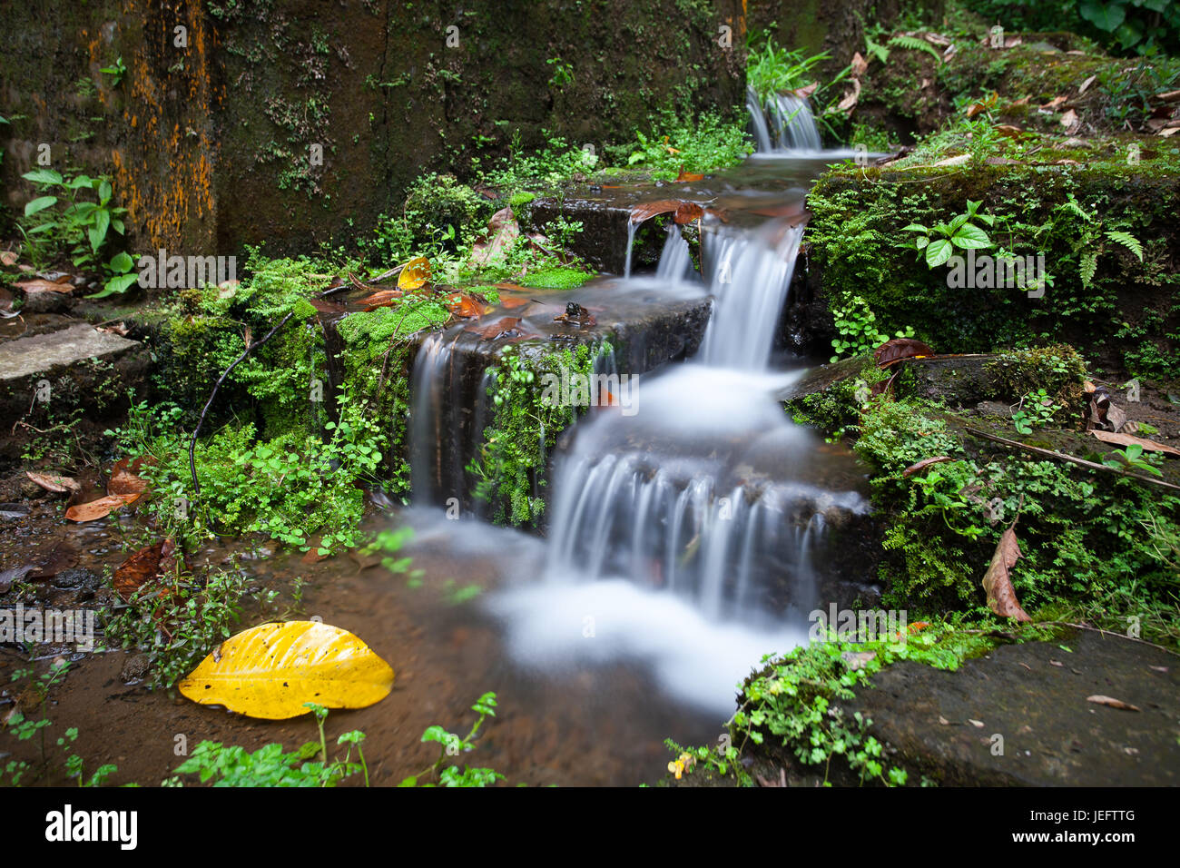 Newengland spring hi-res stock photography and images - Alamy