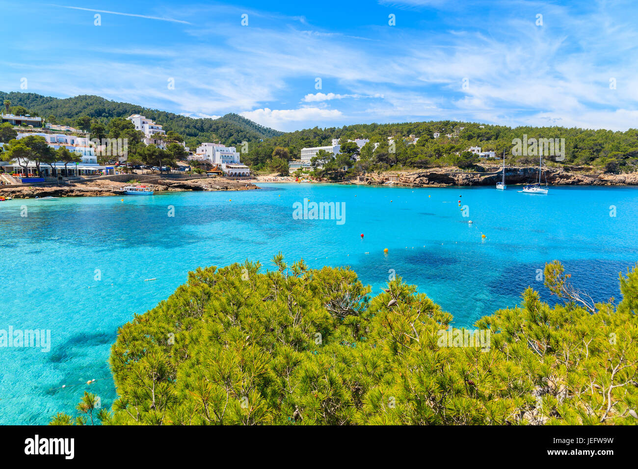 Green pine tree on cliff rock overlooking beautiful Cala Portinatx bay ...