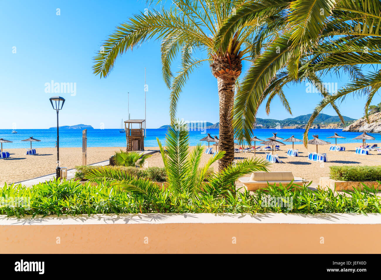 Palm trees promenade majorca spain hi-res stock photography and images ...