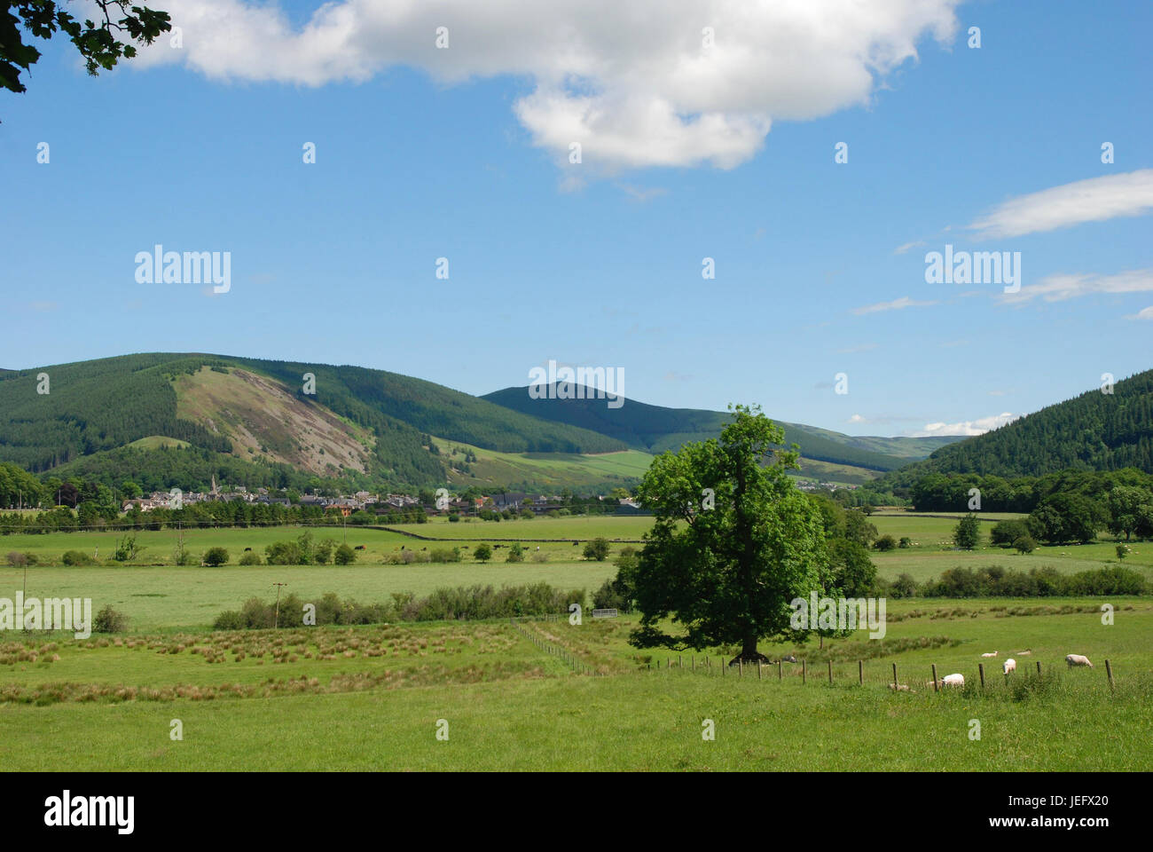 Innerleithen tweed hi-res stock photography and images - Alamy