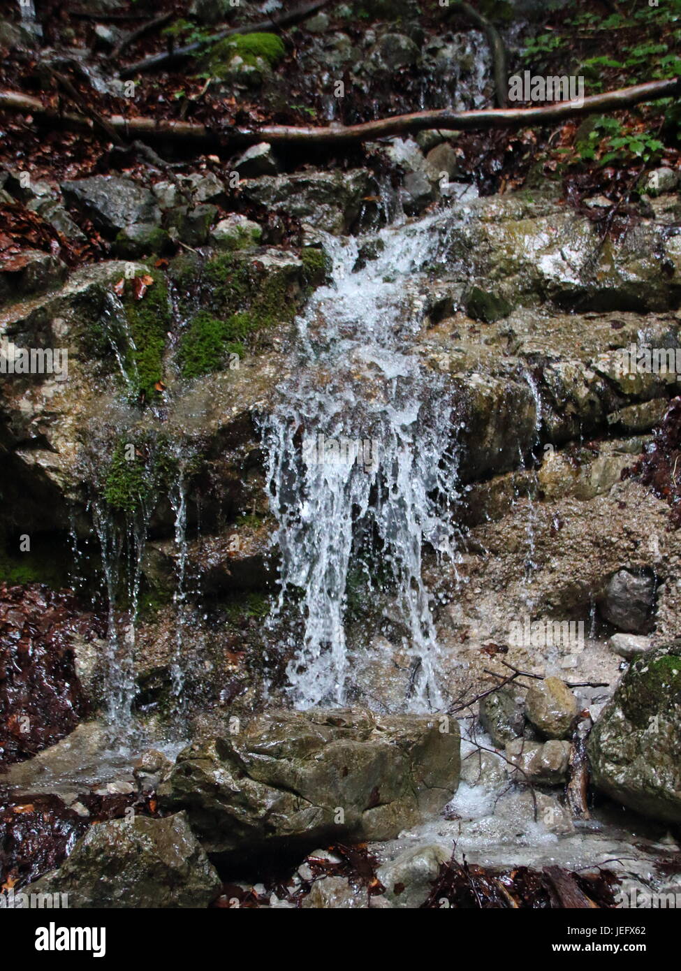Small Brook in Mountain Forest with Clear Water from Melting Snow Stock ...