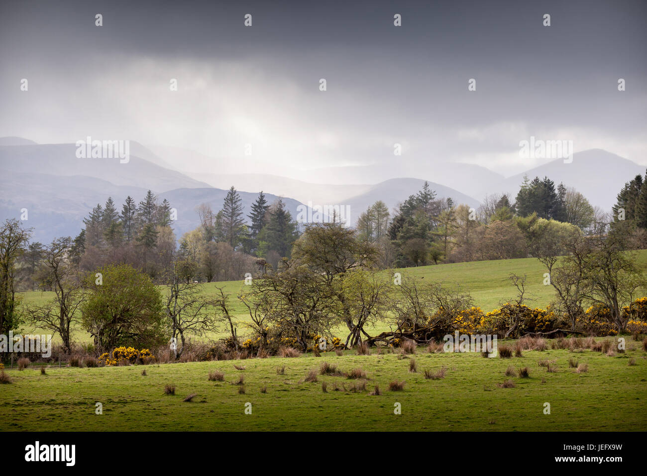 Beautiful northumbrian landscape hi-res stock photography and images ...