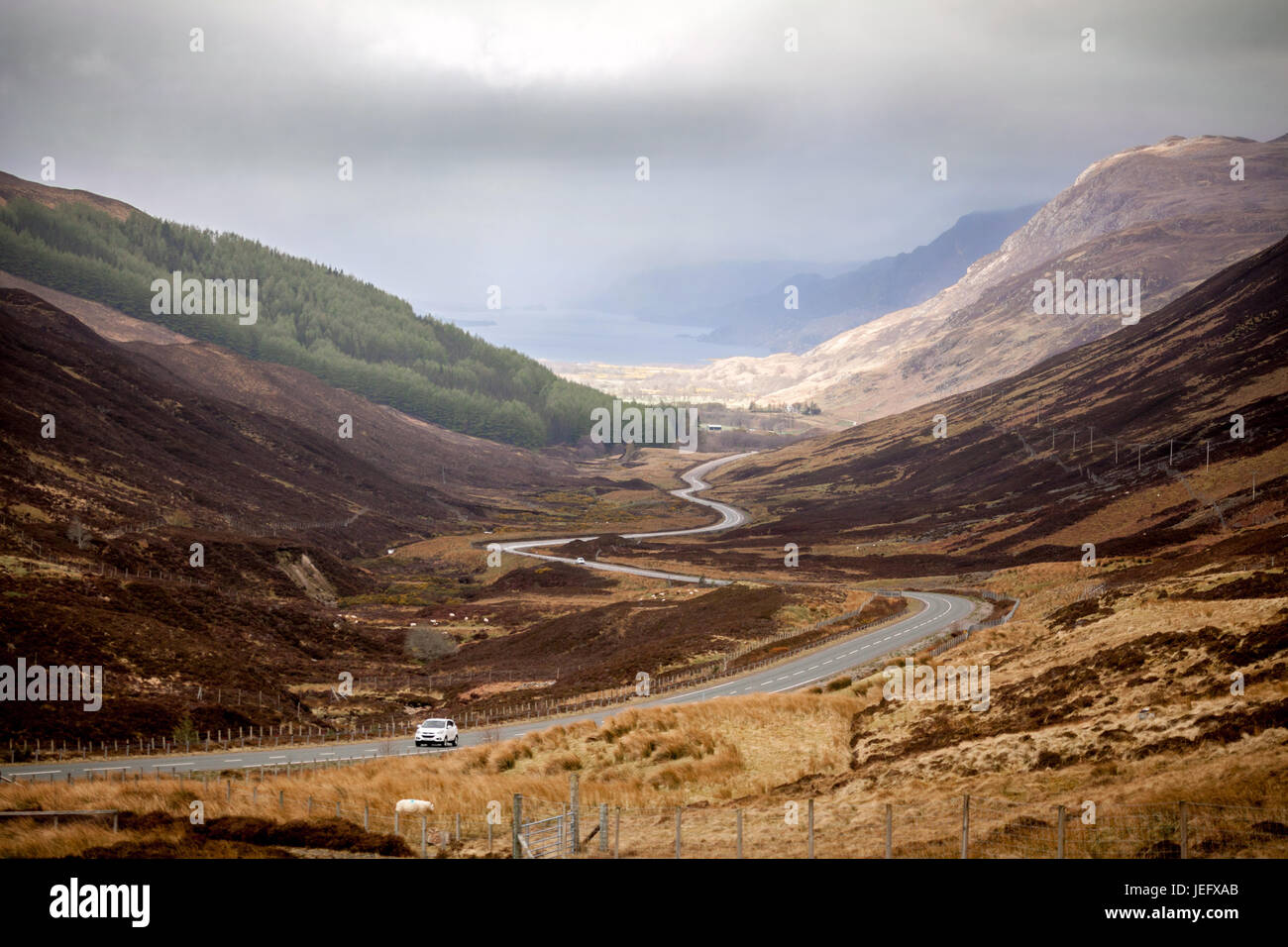 View down the A832, Glen Docherty Burn, Kinlochewe, Scotland, UK ...