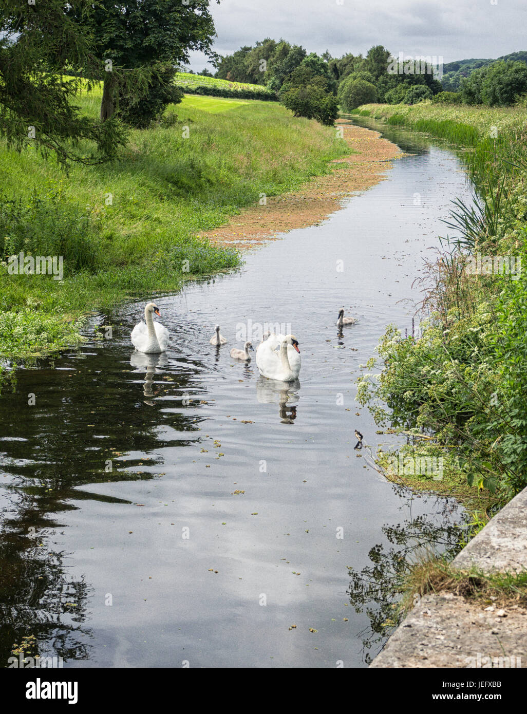 A canal and towpath Stock Photo - Alamy