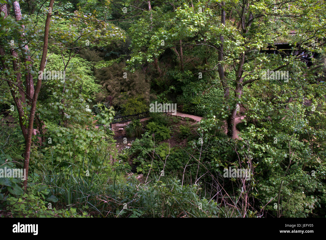 Shanklin chine tourist attraction hi-res stock photography and images ...