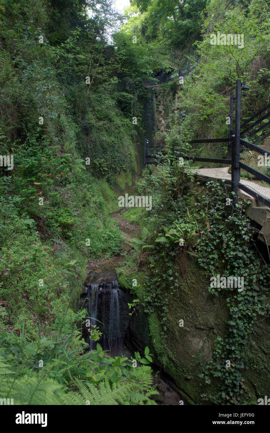 ISLE OF WIGHT; SHANKLIN; THE CHINE Stock Photo - Alamy