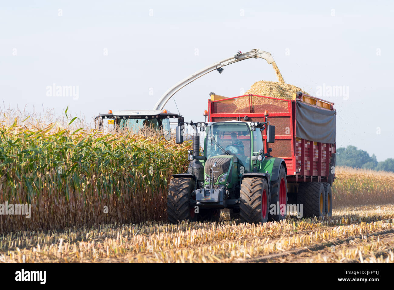 corn being harvested at the end of a long summer Stock Photo - Alamy