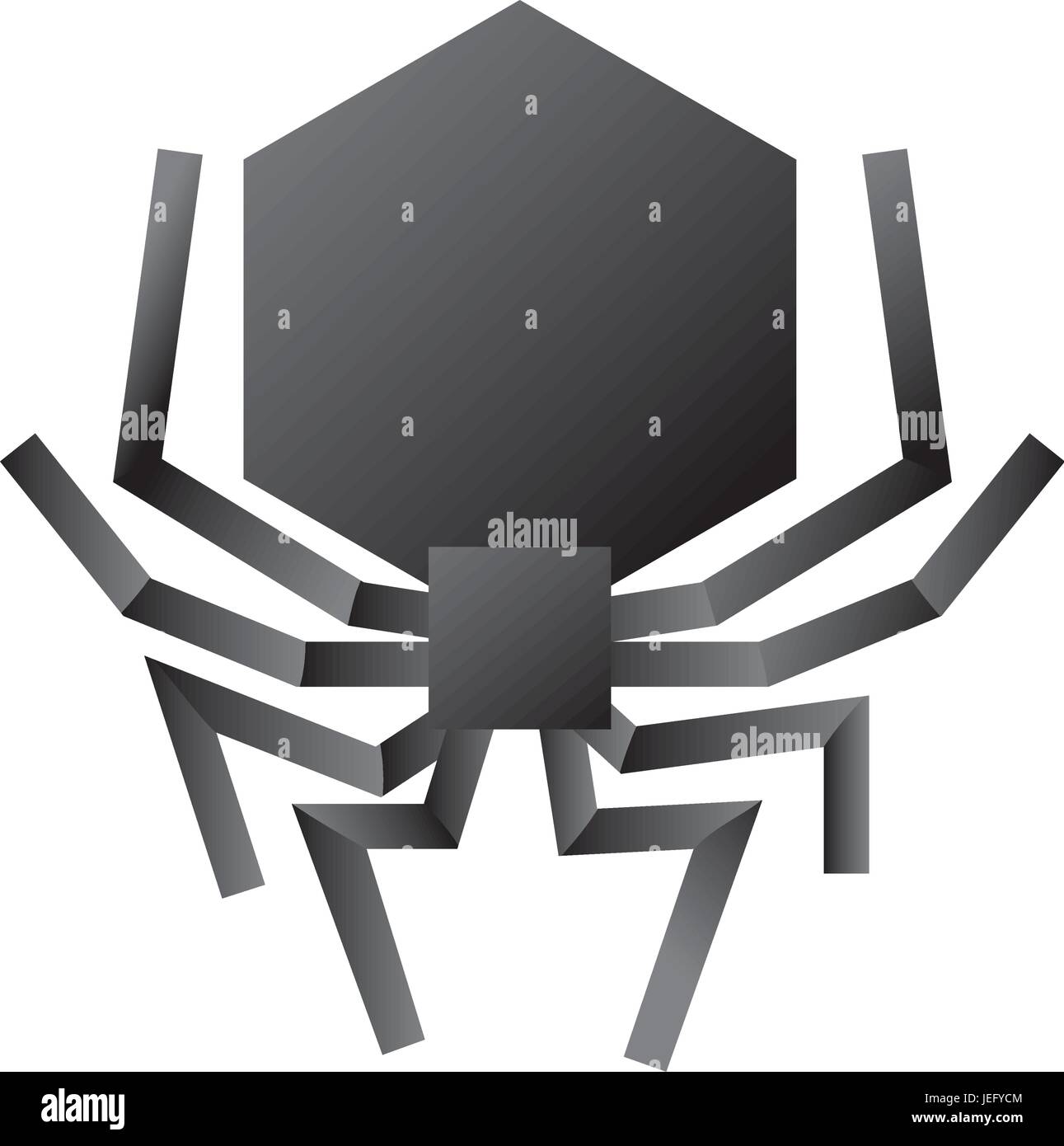 Thief spider hi-res stock photography and images - Alamy