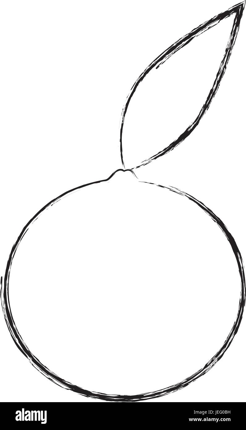 orange sweet fruit Stock Vector Image & Art - Alamy