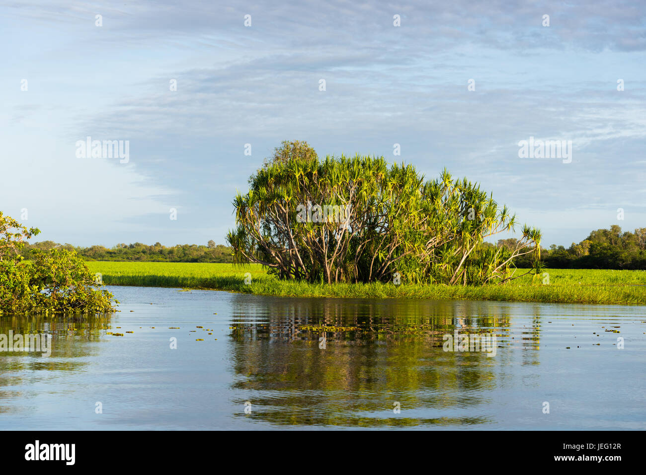 Wet season kakadu flooded wetlands hi-res stock photography and images - Alamy