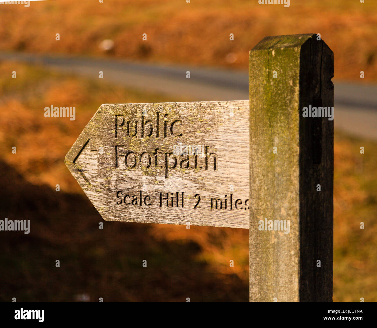 Public Footpath Sign. A wooden signpost marking a public footpath close ...