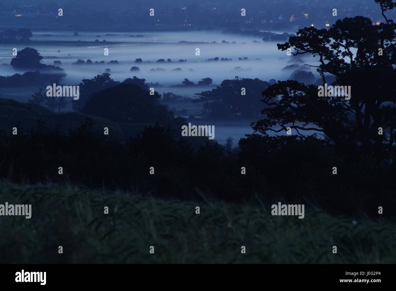 Heavy Mist Hangs Over Exminster Marsh before Sunrise. Devon, UK. June ...