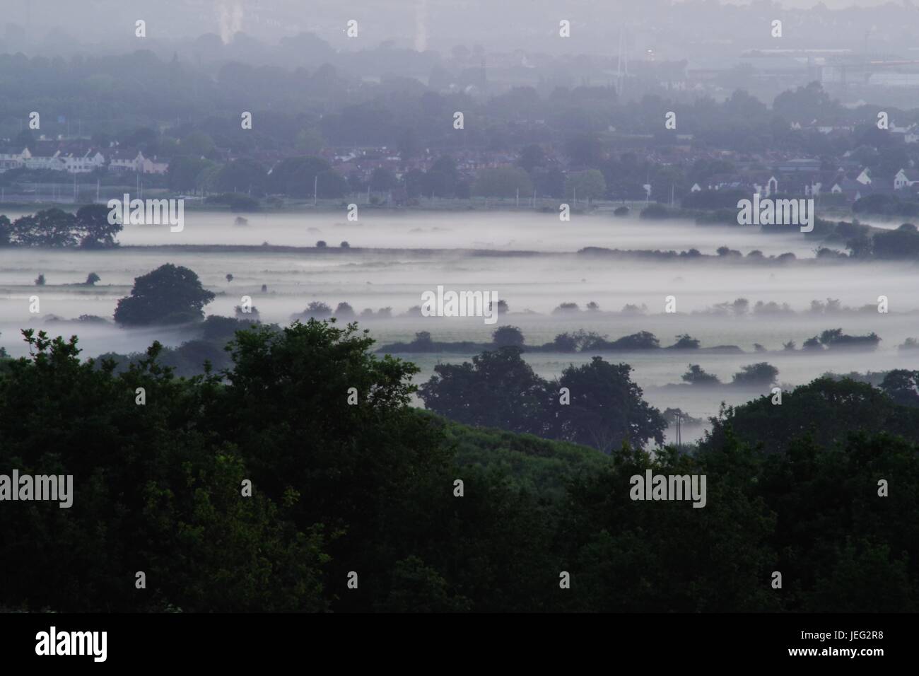 Exminster and powderham marshes hi-res stock photography and images - Alamy