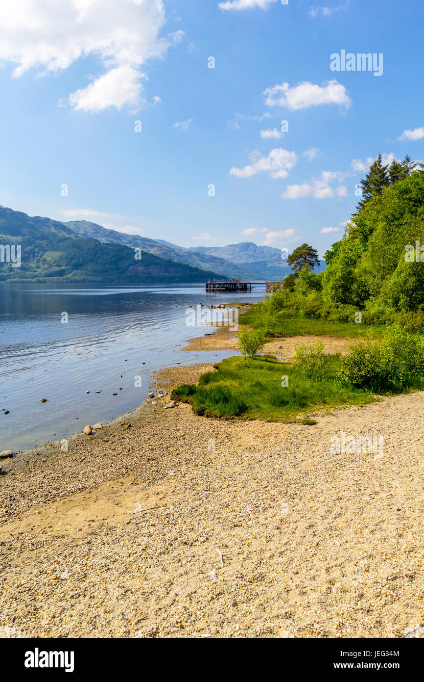 Loch Lomond at rowardennan, Summer in Scotland, UK Stock Photo - Alamy