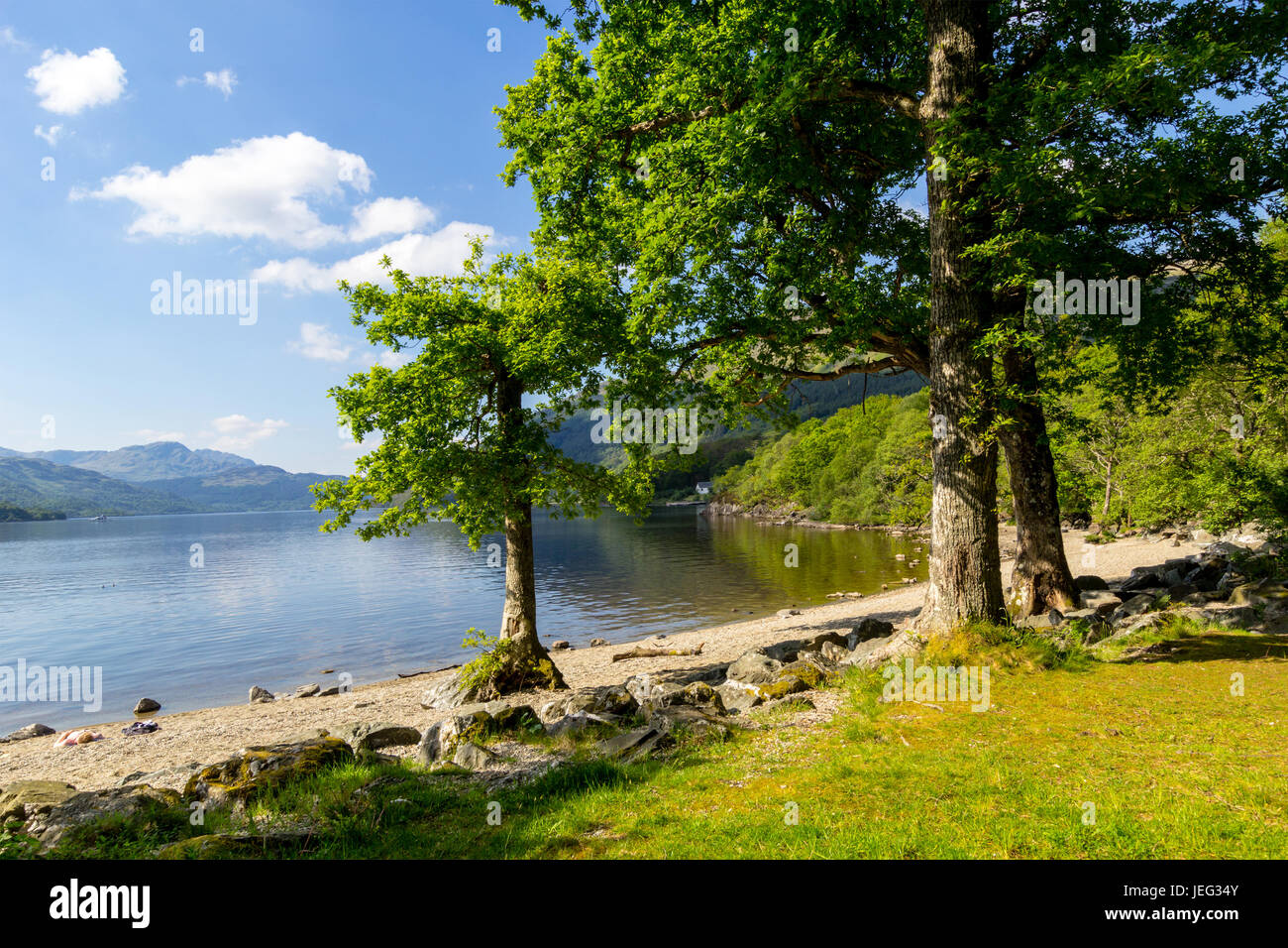 Loch Lomond at rowardennan, Summer in Scotland, UK Stock Photo - Alamy