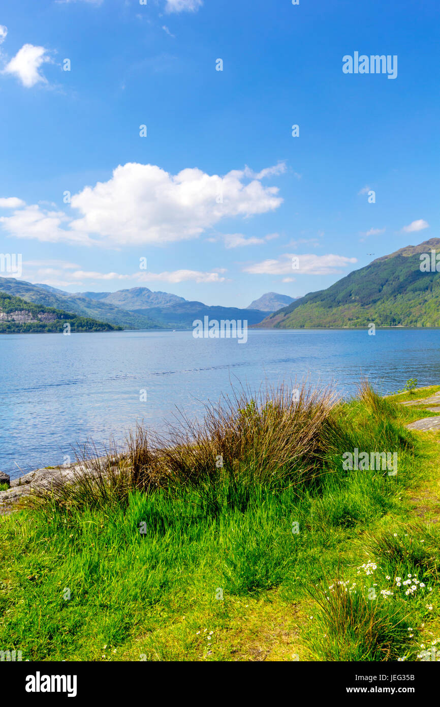 Loch Lomond at rowardennan, Summer in Scotland, UK Stock Photo - Alamy
