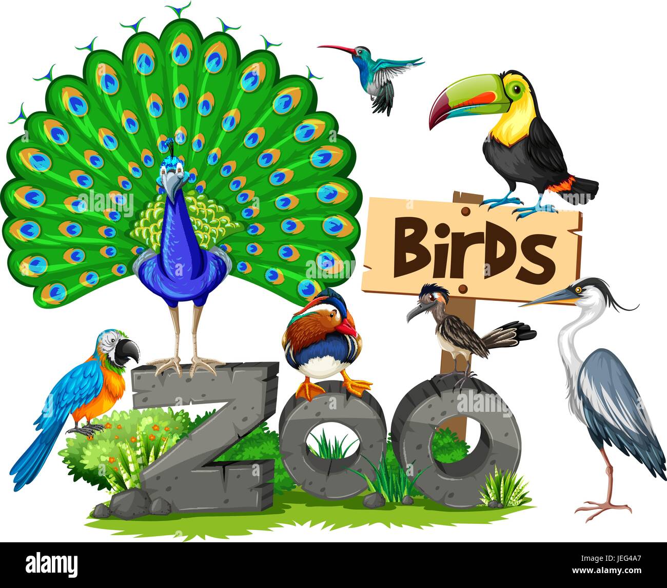 Birds of the zoo Stock Vector Images - Alamy