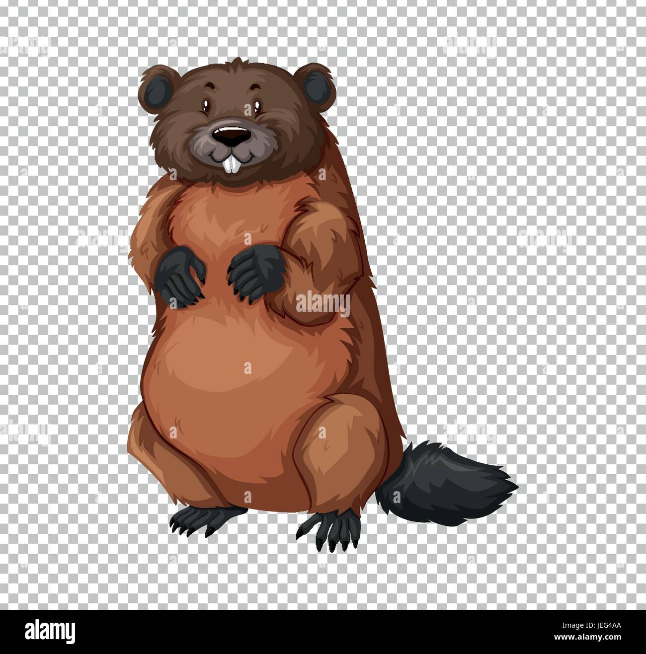 Beaver on transparent background illustration Stock Vector Image & Art ...