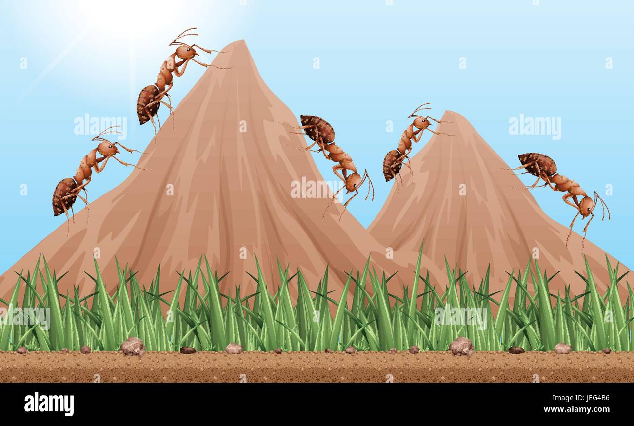 Ants climbing Stock Vector Images - Alamy