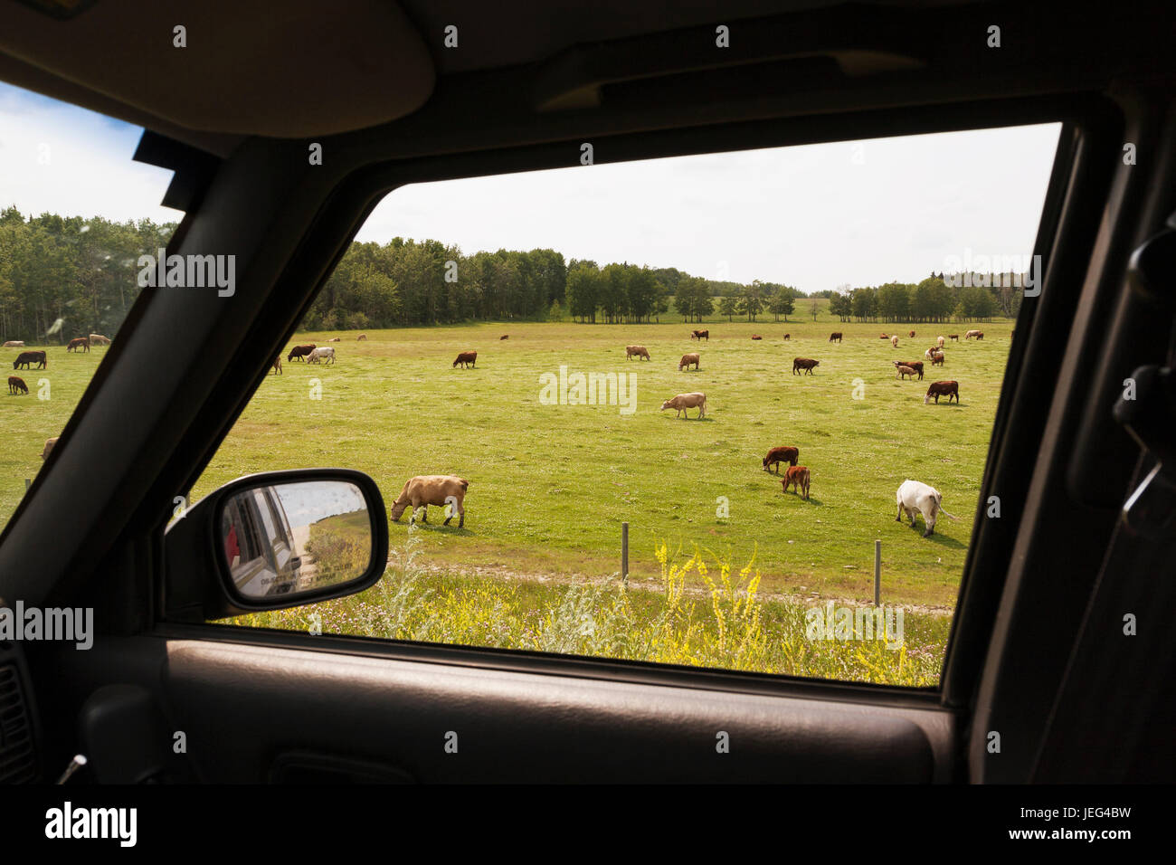 From inside vehicle hi-res stock photography and images - Alamy