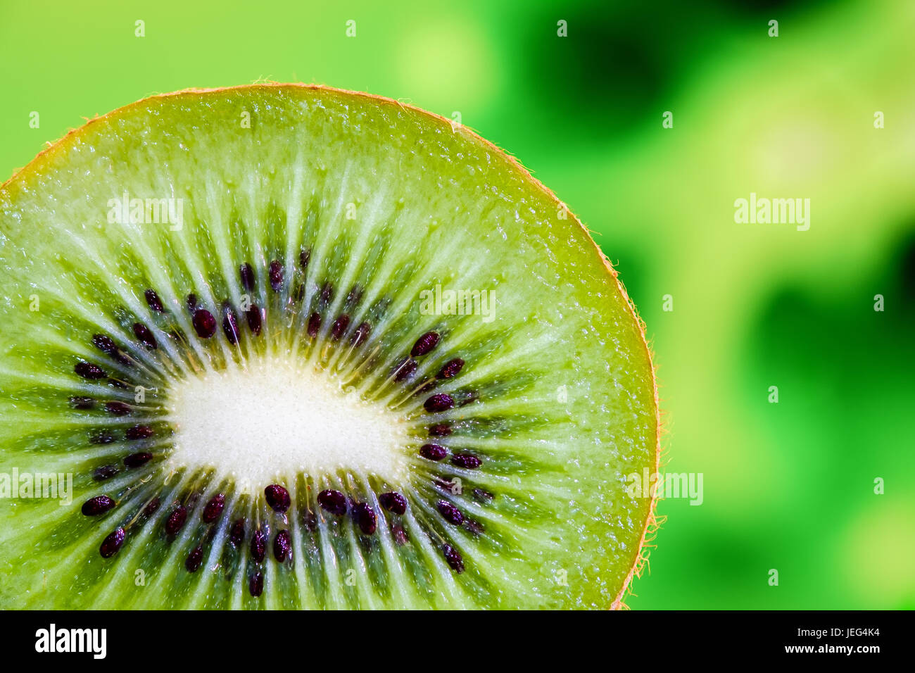 Slice kiwi fruit Stock Photo - Alamy