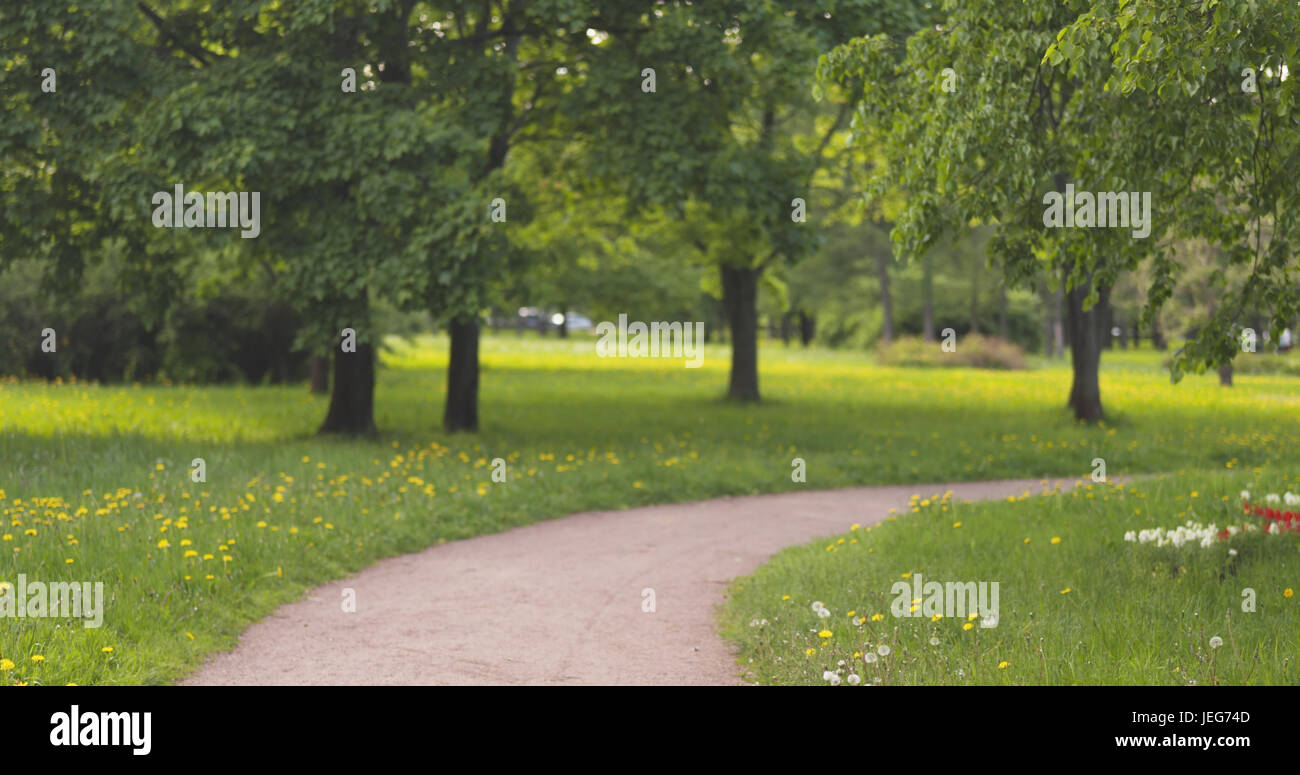 empty park path in summer day, wide photo Stock Photo - Alamy
