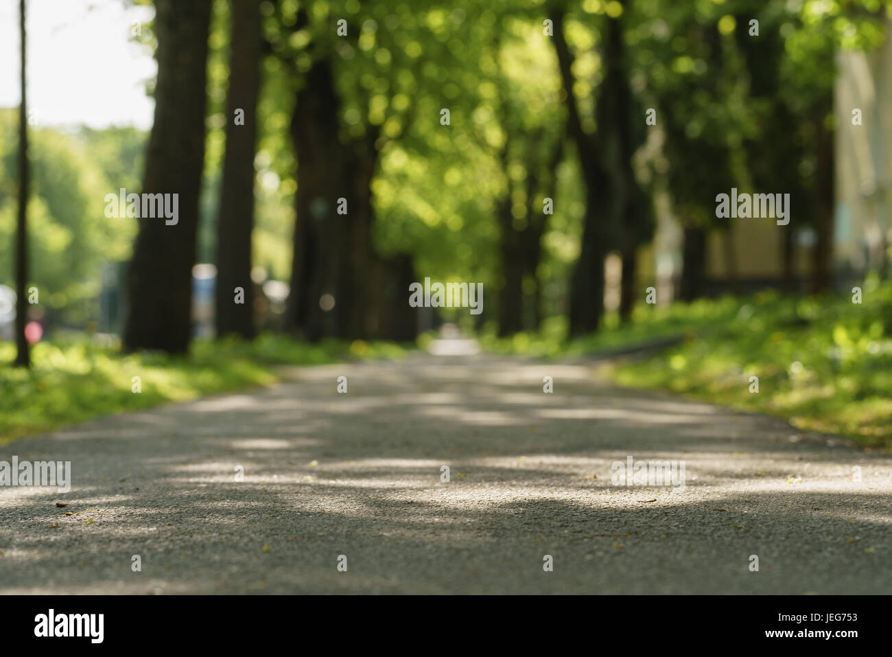 low angle of sidewalk in city in sunny day, backdrop photo Stock Photo ...