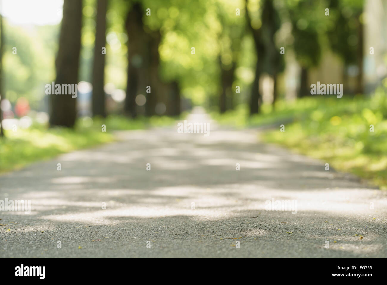 low angle of sidewalk in city in sunny day, backdrop photo Stock Photo ...